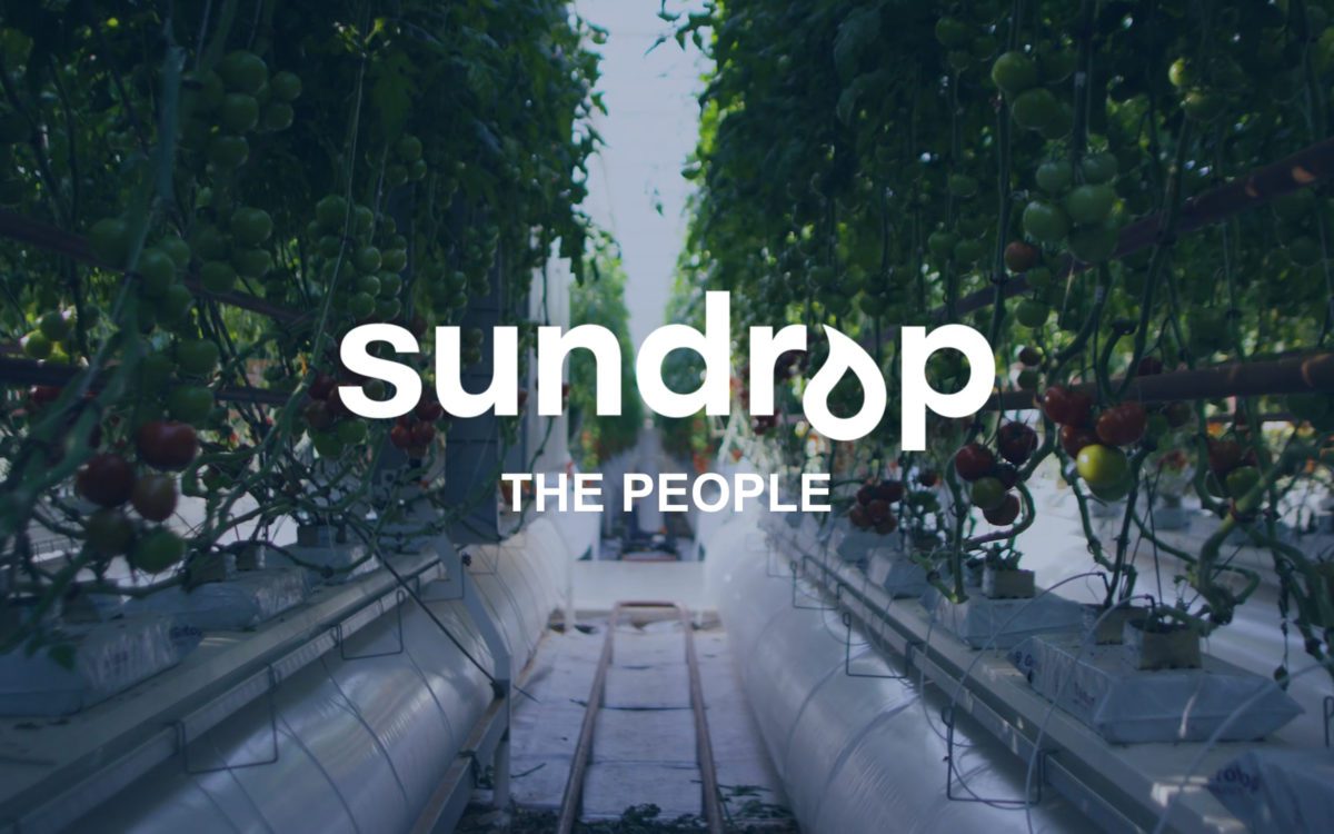 Sundrop Farms Brand Film Series - RF Studio 53