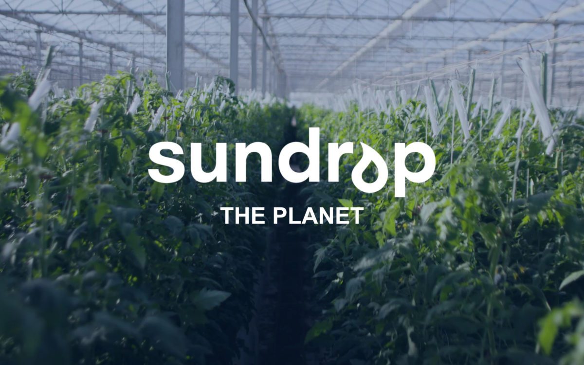 Sundrop Farms Brand Film Series - RF Studio 53
